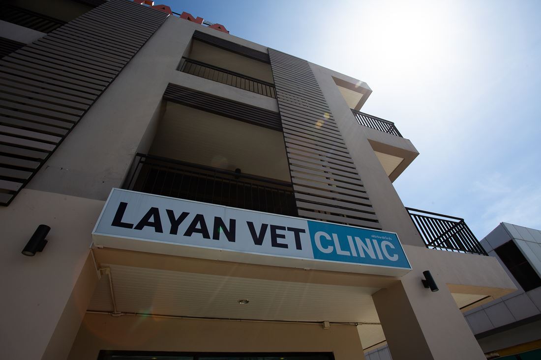 Dedicated to providing the best care for your beloved animals | Layan ...